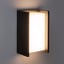 Jasper LED wall light - 3000K - 12 watts - IP54 - Black